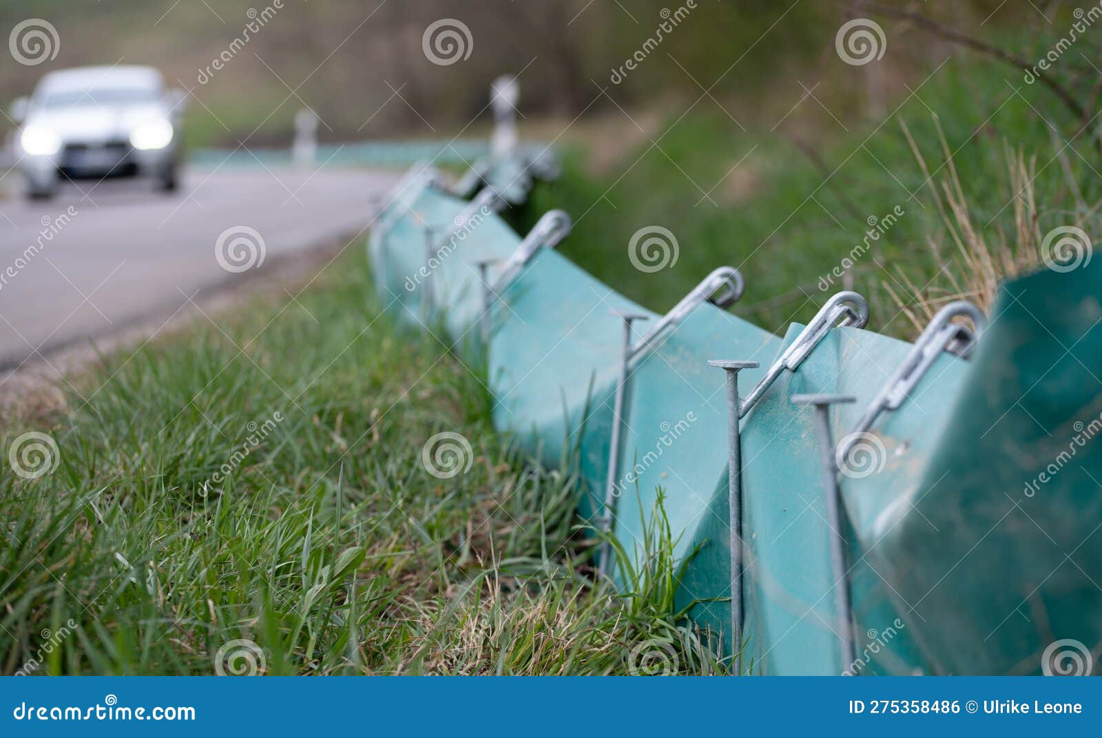 A Green Plastic Toad Fence is Erected at the Roadside. this is To ...