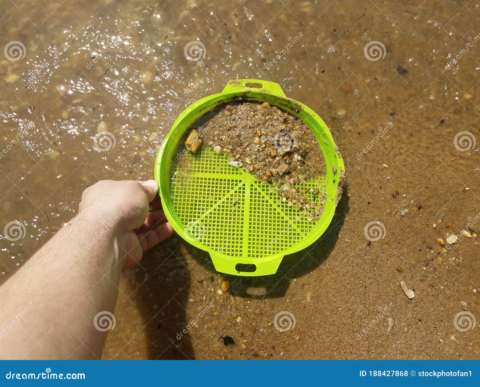Green Plastic Tray Or Sieve In Sand Picking Up Shells And Rocks Royalty ...
