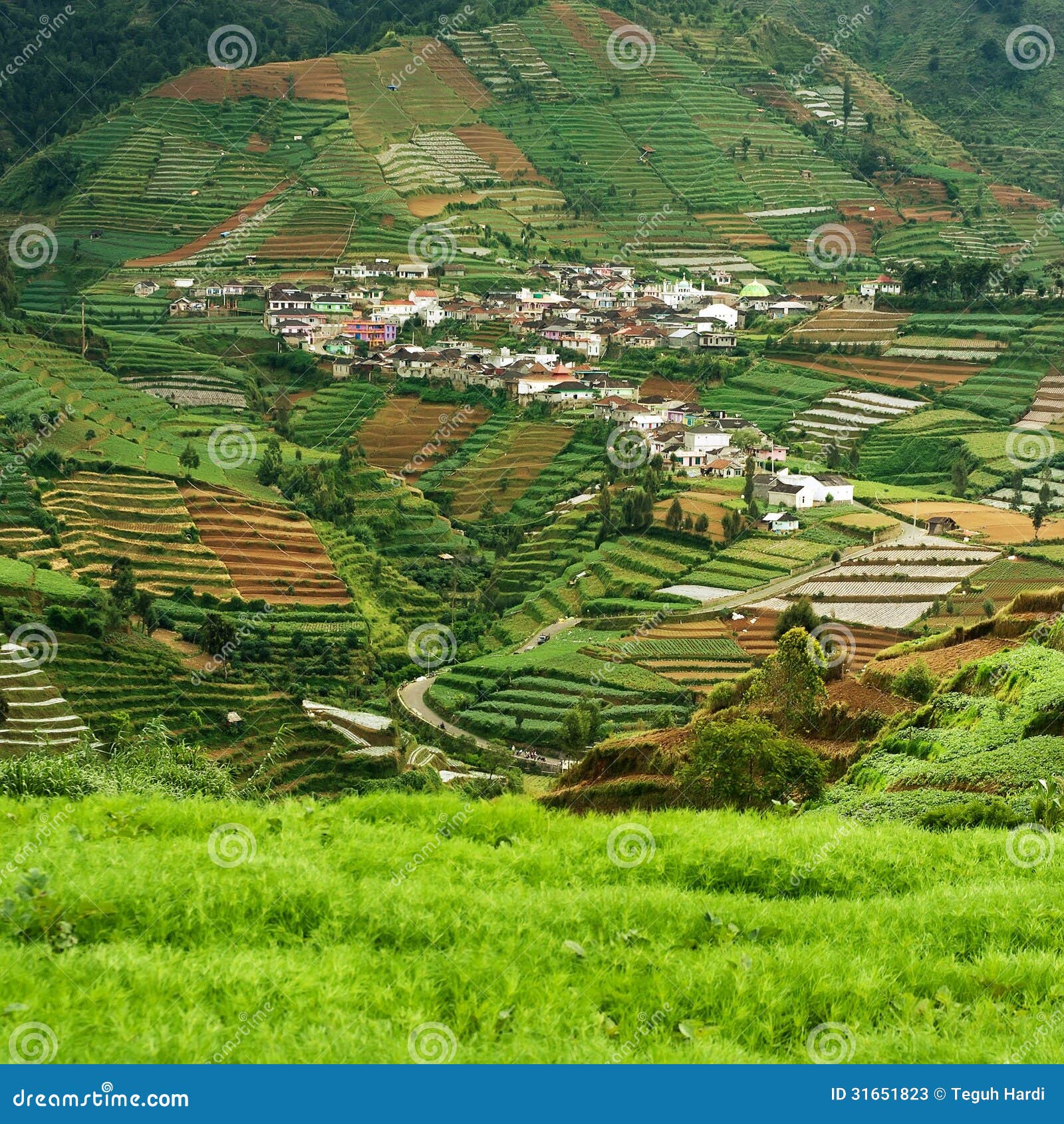 Green plateau editorial stock photo. Image of colorful - 31651823