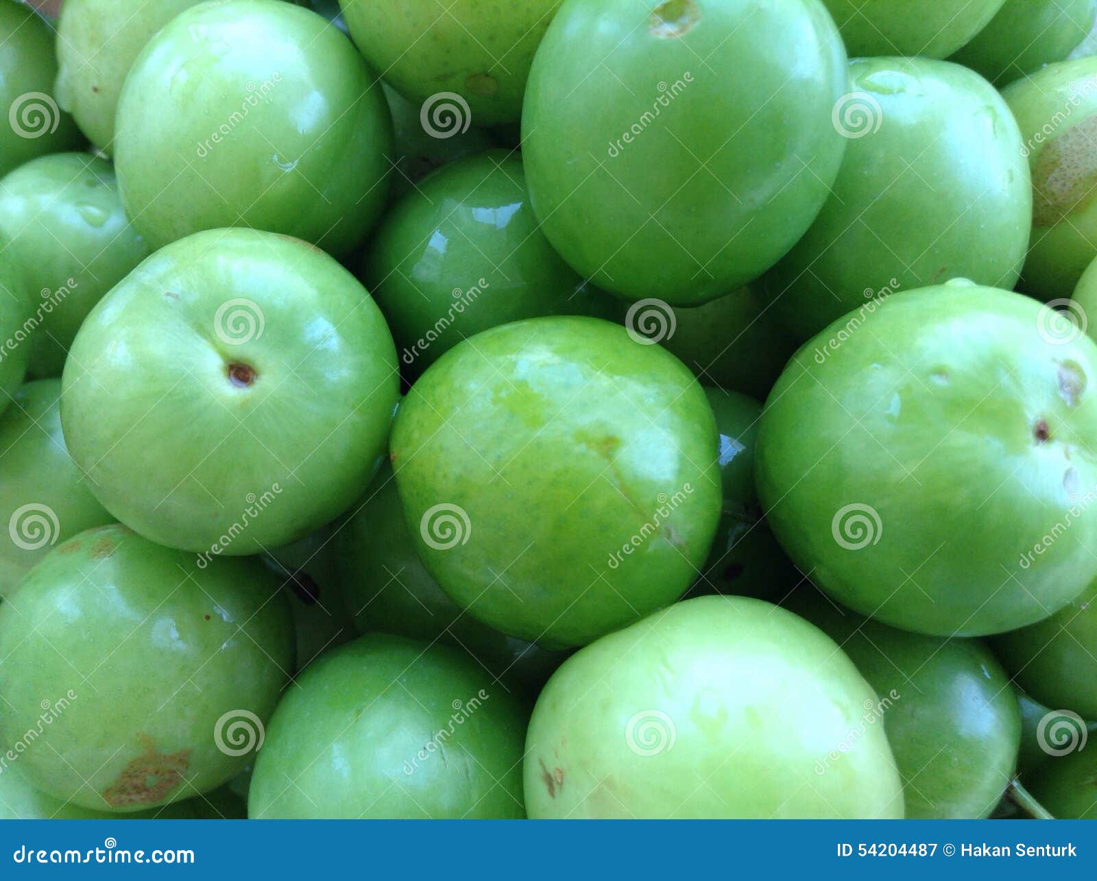 Green plum stock image. Image of healthy, fruit, agriculture - 54204487