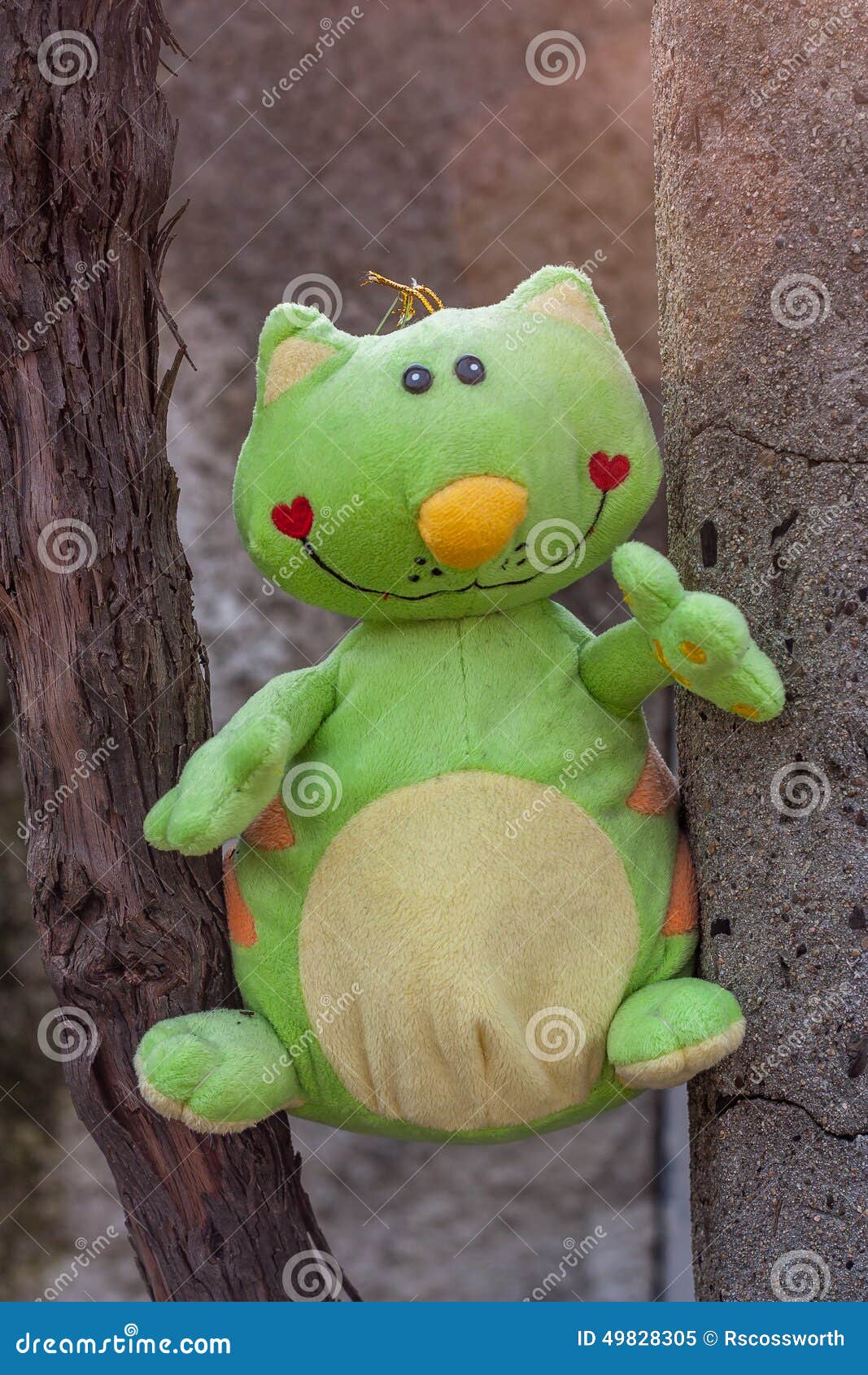 Green plush cat stock image. Image of doll, plush, children - 49828305