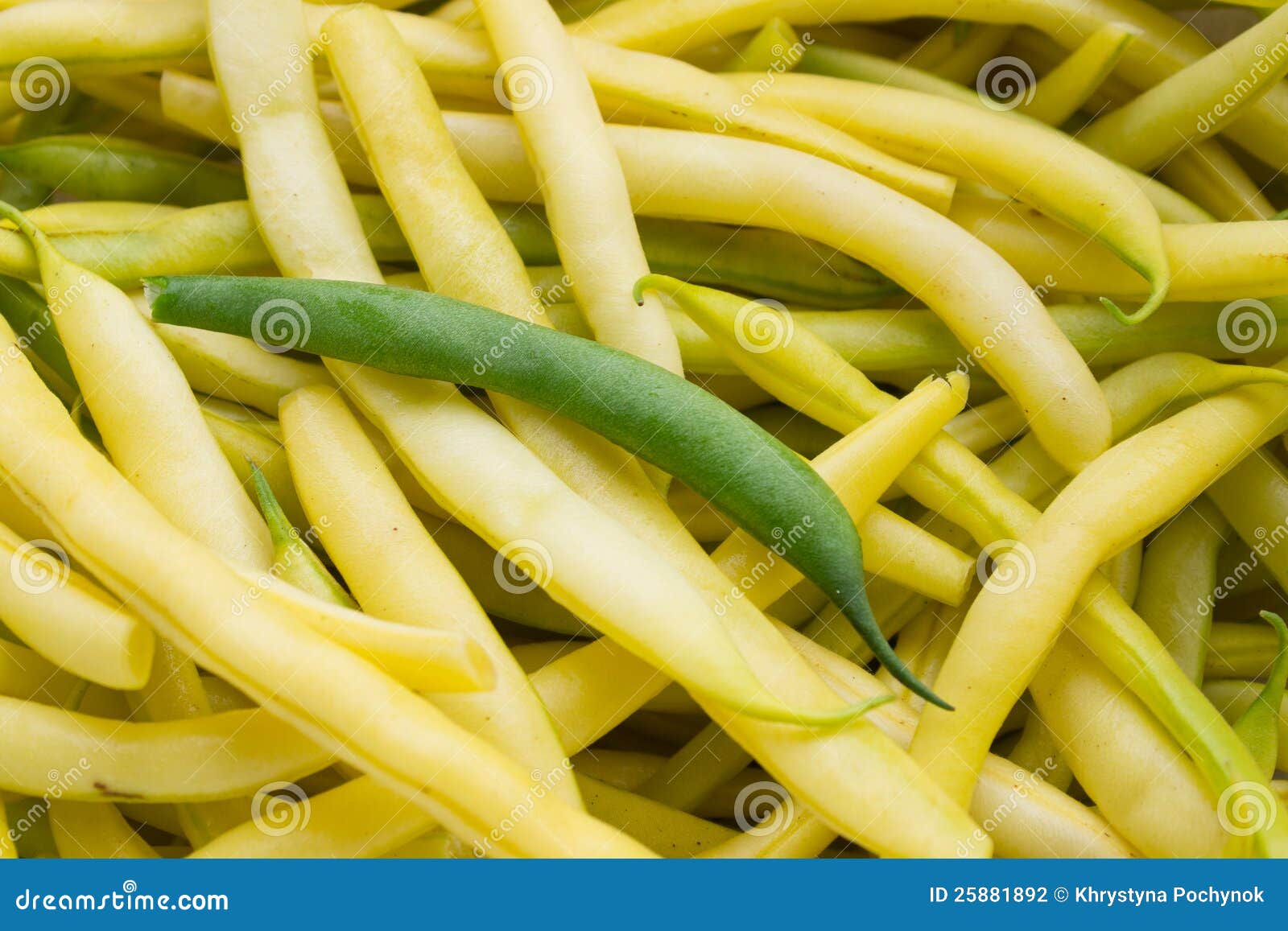 2,652 Haricot Pod Stock Photos - Free & Royalty-Free Stock Photos from ...