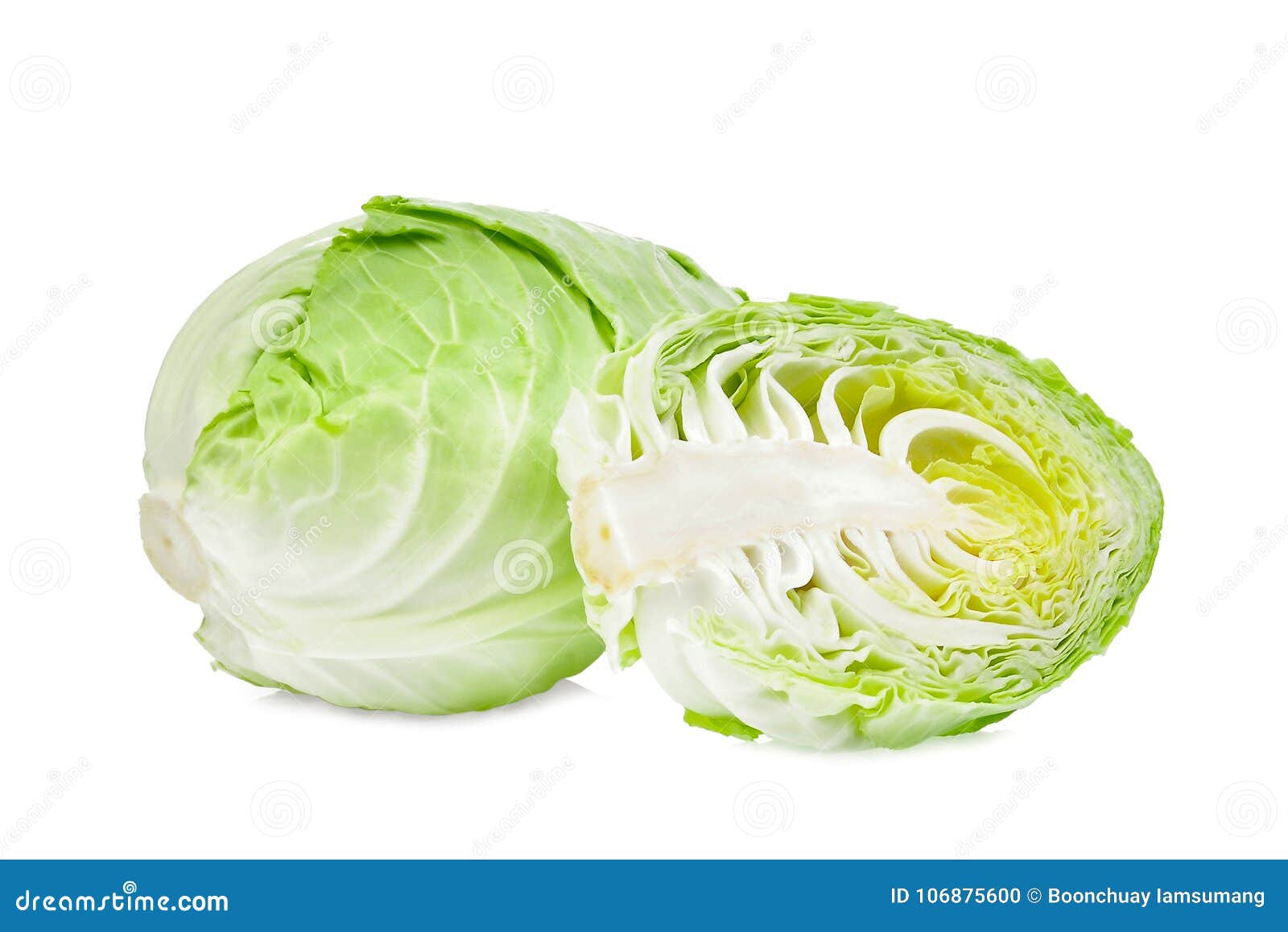 Green Pointed Cabbage with Half Isolated on White Stock Photo - Image ...