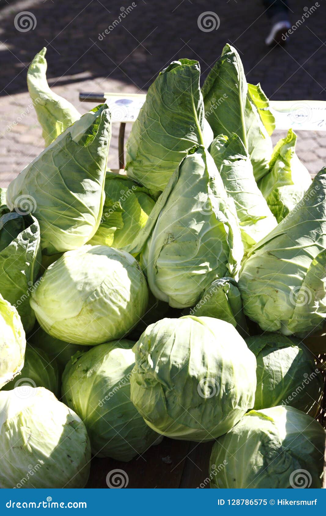 Green Pointed Cabbage and White Cabbage Cabbage in a Wicker Basket ...