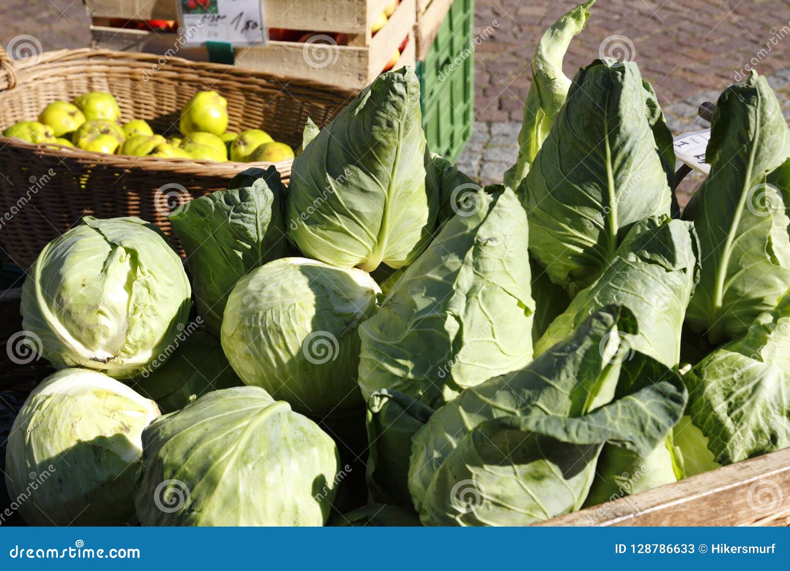 Green Pointed Cabbage and White Cabbage Cabbage in a Wicker Basket ...