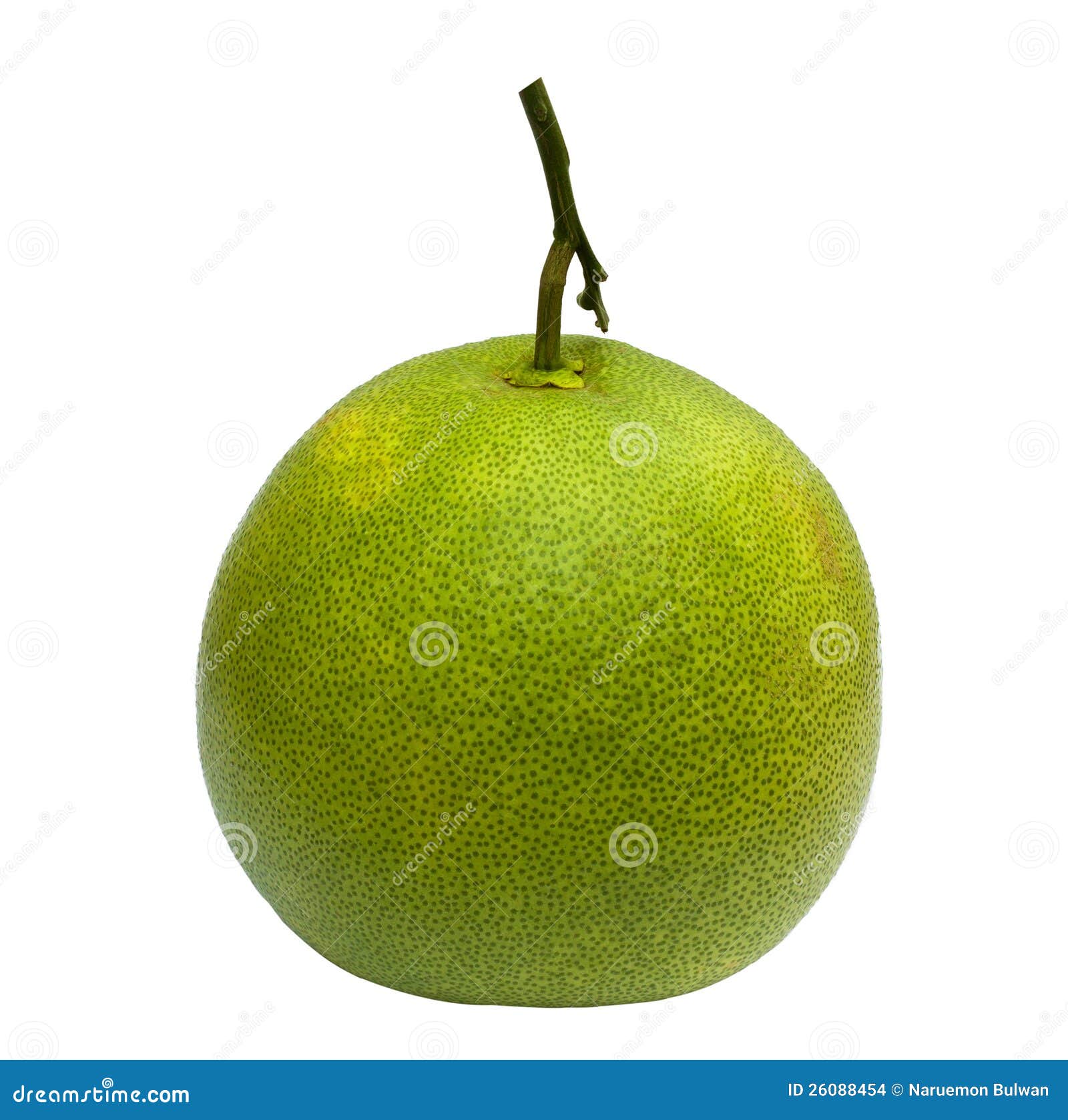 Green pomelo isolated stock photo. Image of sweet, nature - 26088454