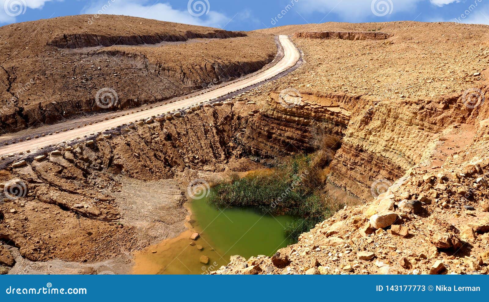Green Pond in the Negev Desert Stock Image - Image of road, landscape ...