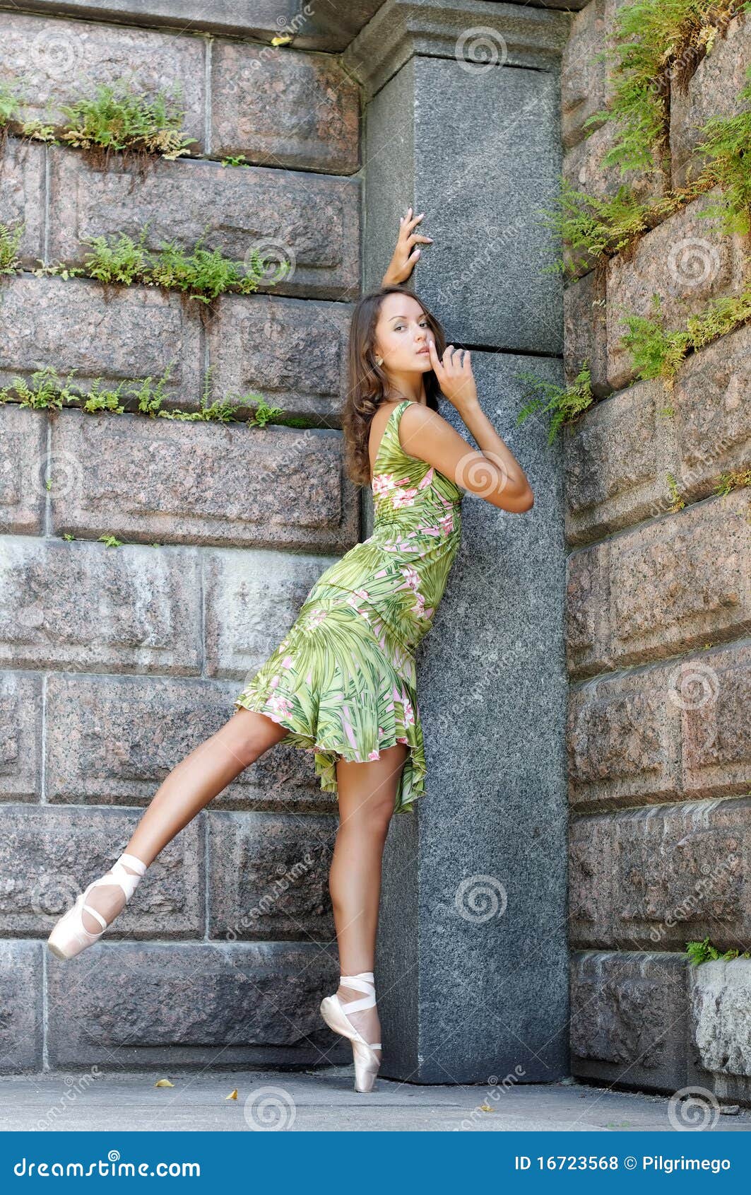 Green portrait stock photo. Image of beauty, graceful - 16723568