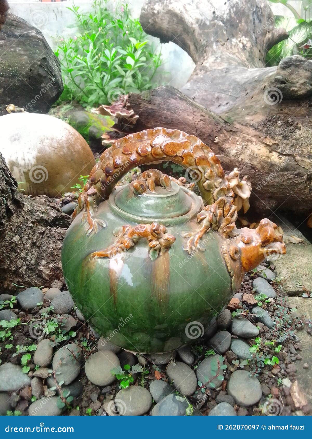 Green pot dragon stock image. Image of rock, vegetable - 262070097