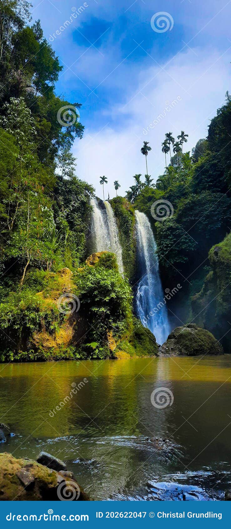 Green Potrait Waterfall stock image. Image of nature - 202622047