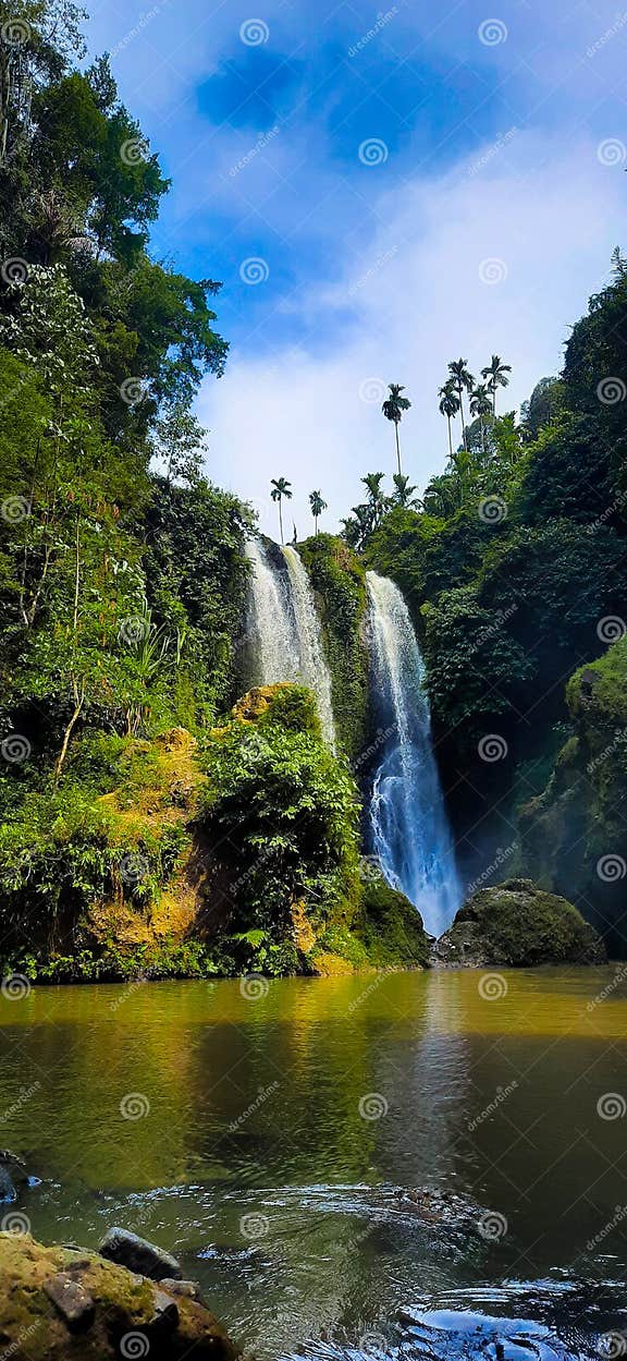 Green Potrait Waterfall stock image. Image of nature - 202622047