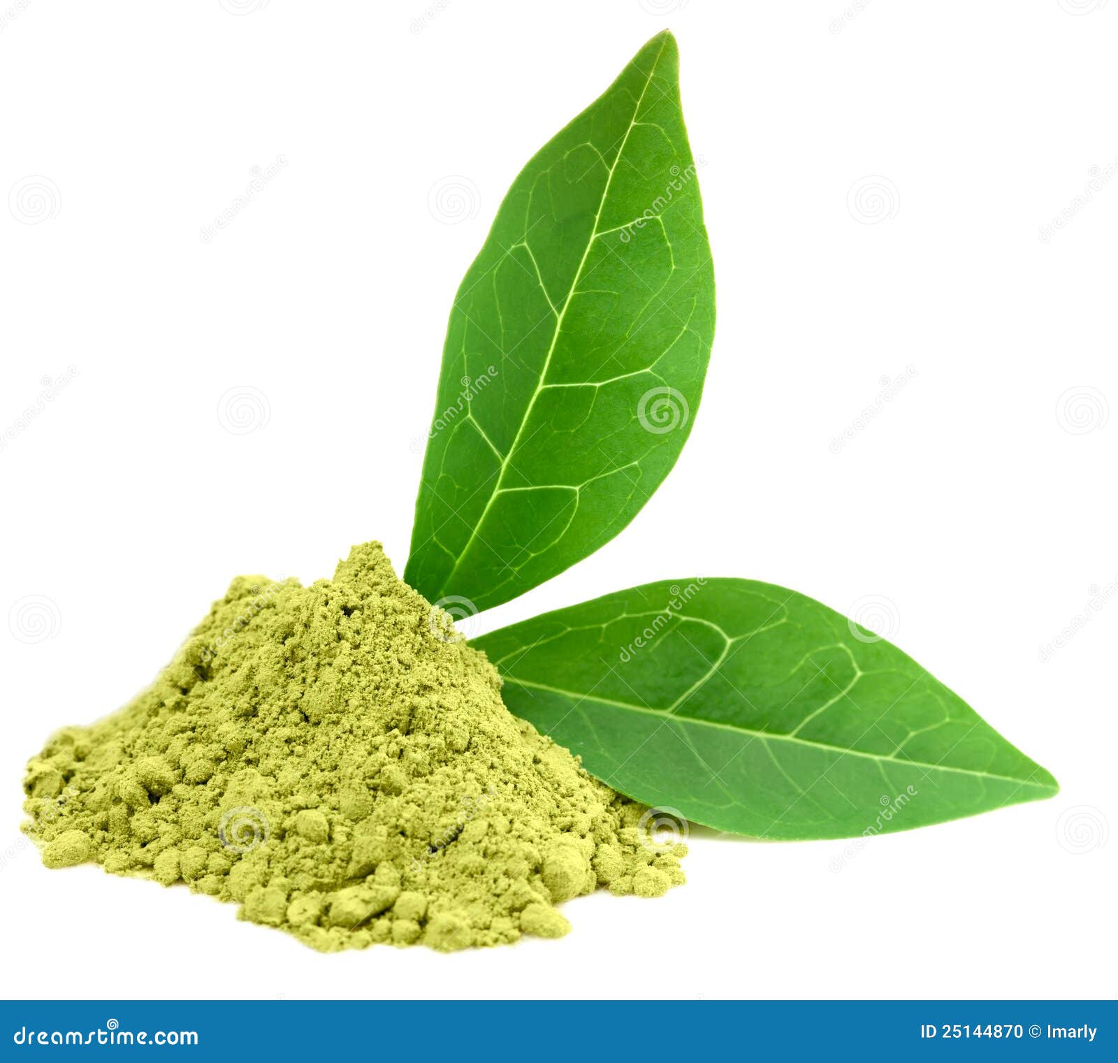 Green powder matcha tea stock photo. Image of flower - 25144870