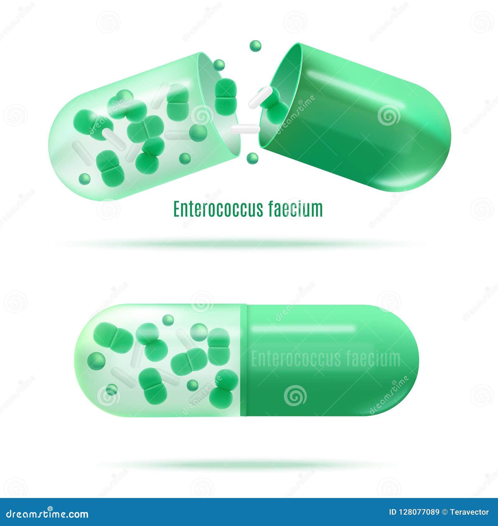 Enterococcus. Probiotics. Lactic Acid Bacteria. Good Bacteria And ...