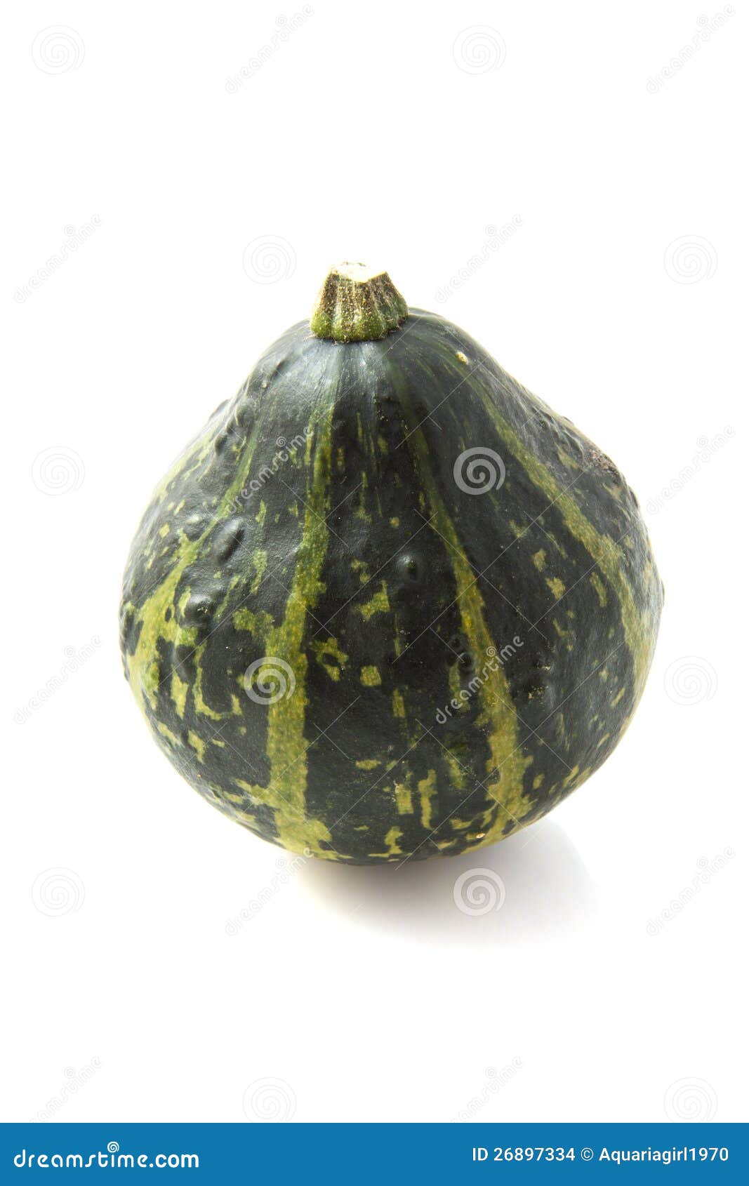 Green pumpkin stock photo. Image of studio, health, ecological - 26897334