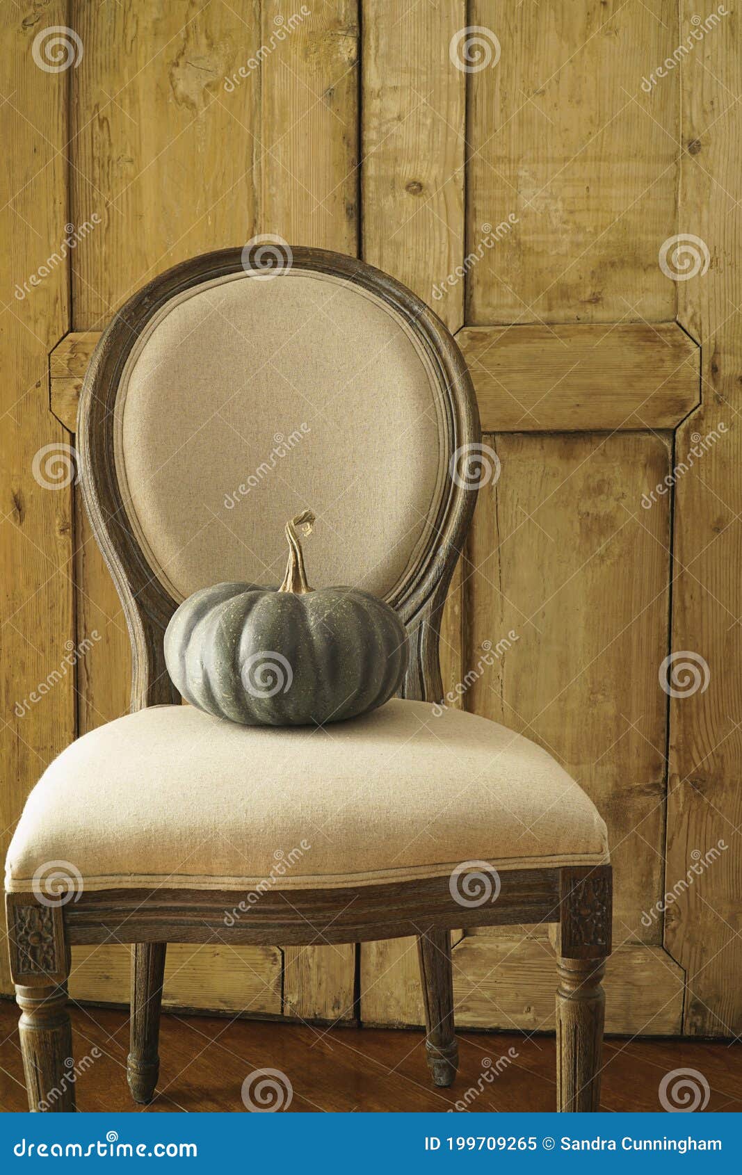 Green pumpkin on chair stock image. Image of bright - 199709265