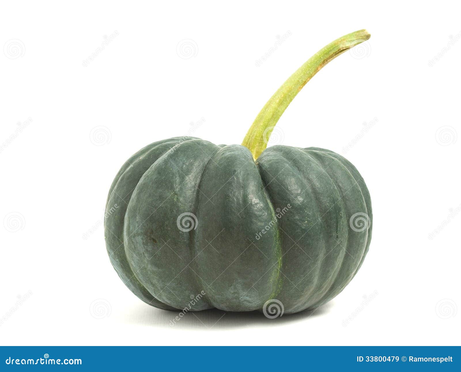 Green pumpkin stock image. Image of healthy, food, seasonal - 33800479