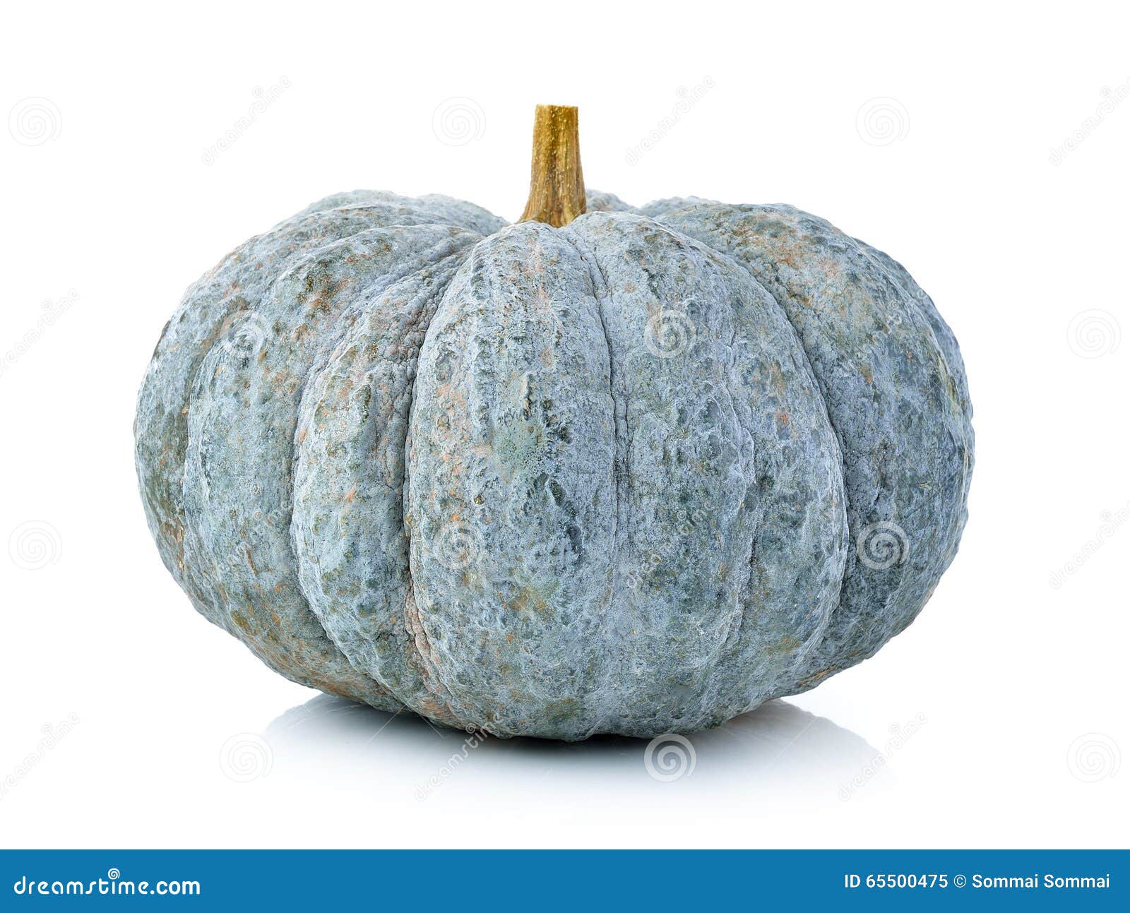White Pumpkin And Leaves Laying On Vintage Green Scale With Rust ...