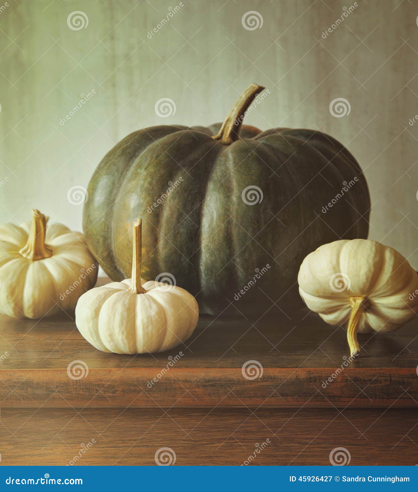 Green Pumpkin and Small White Gourds Stock Image - Image of food, life ...
