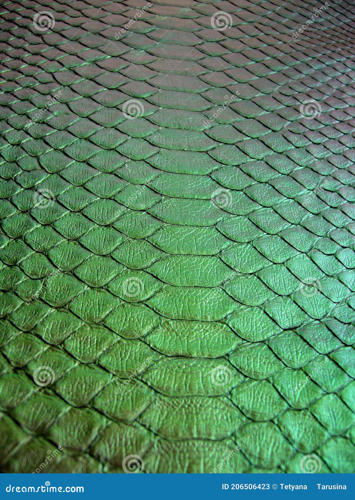 Green python skin snake. stock image. Image of print - 206506423