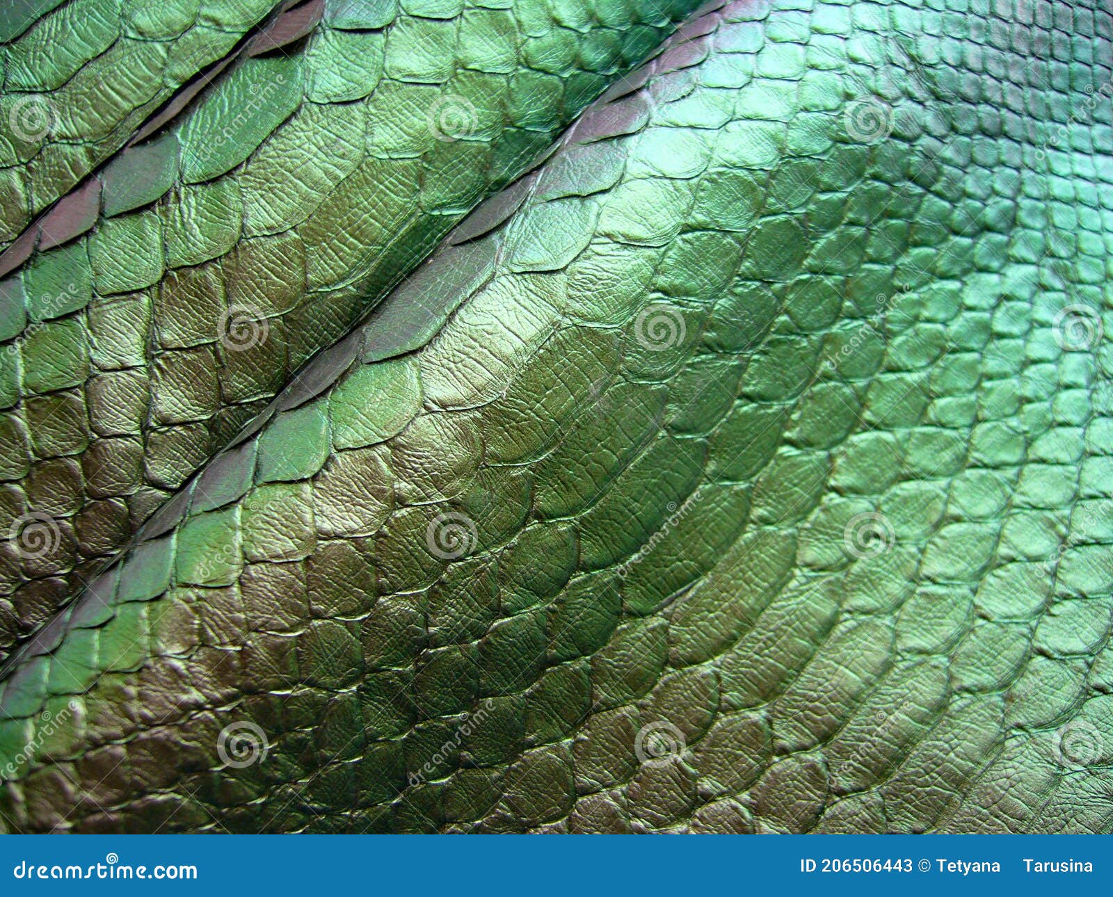 Green python skin snake. stock image. Image of design - 206506443