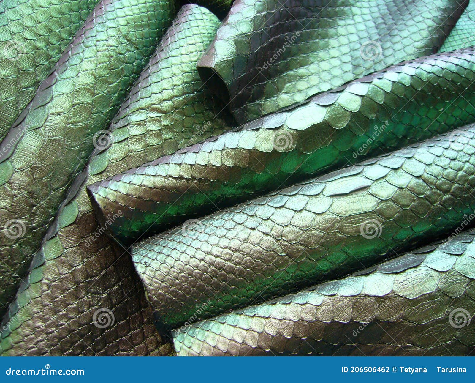 Green python skin snake. stock photo. Image of yellow - 206506462