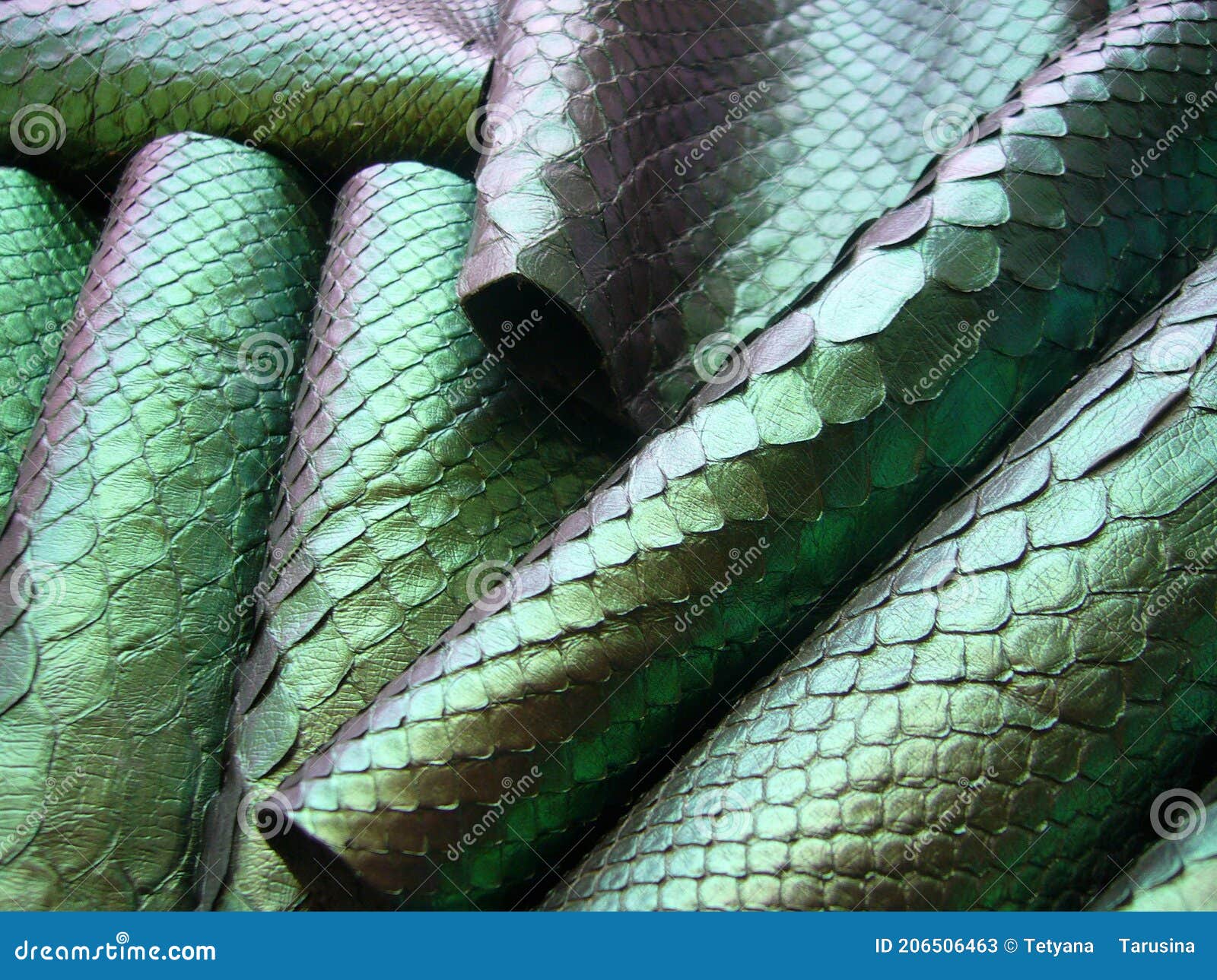 Green python skin snake. stock image. Image of design - 206506463