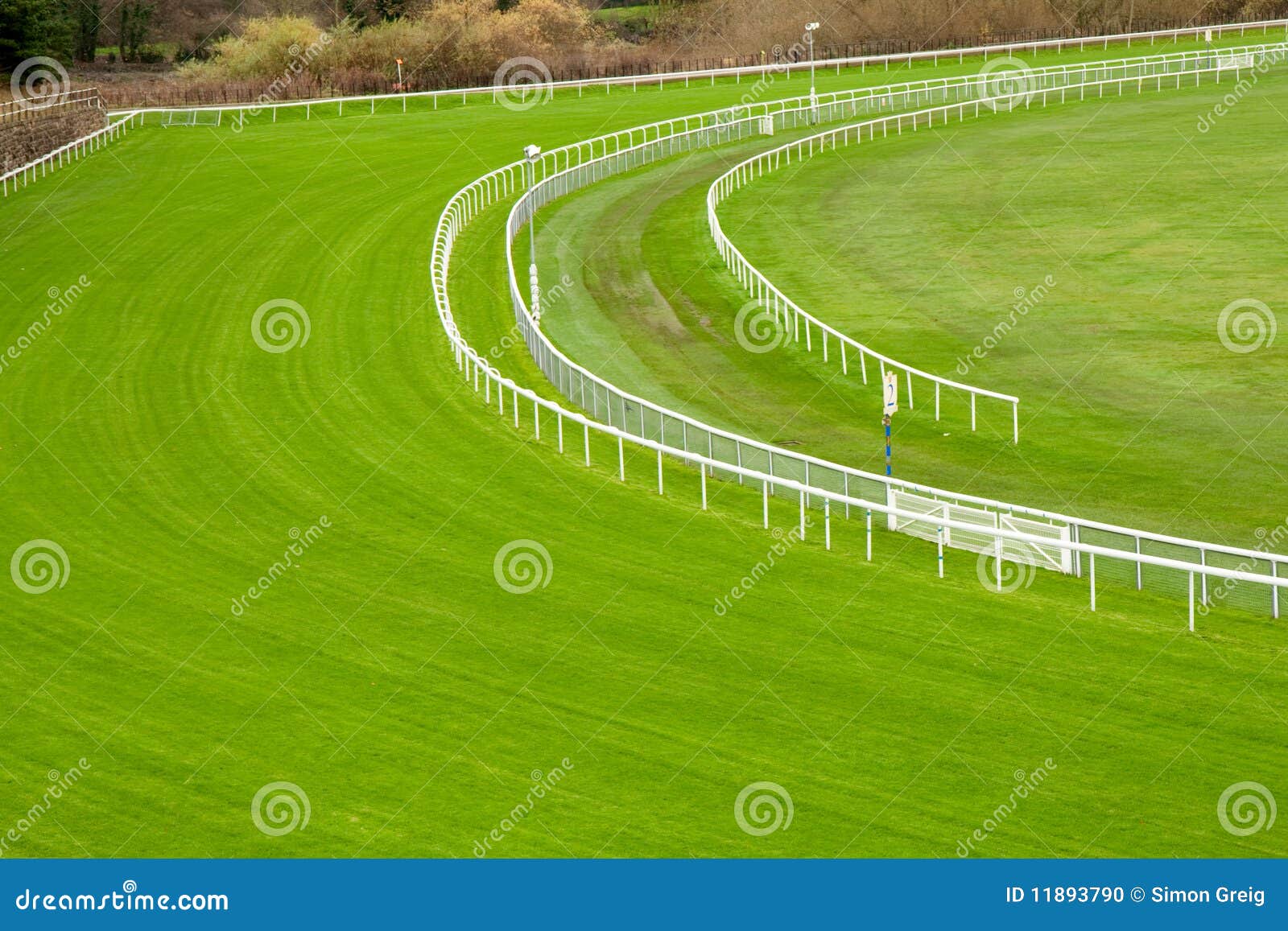 Green Racecourse stock photo. Image of racecourse, railings - 11893790