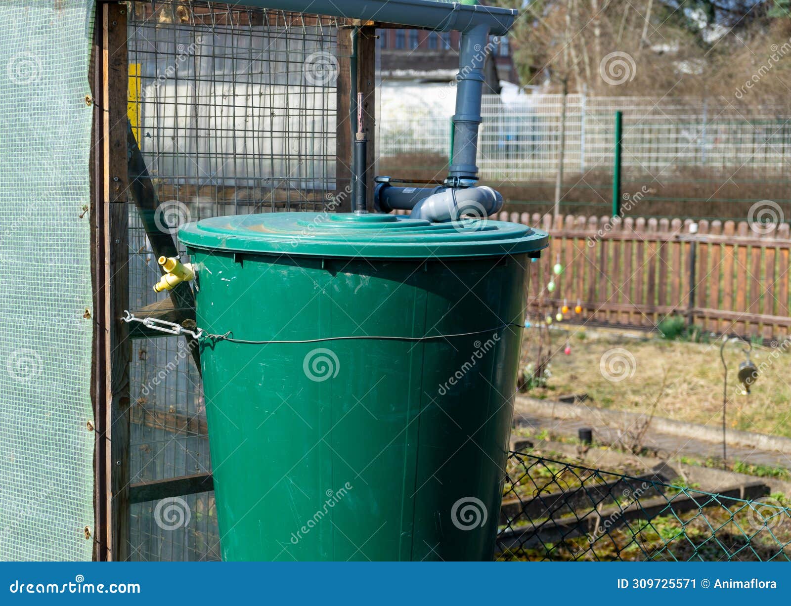 Green Rain Barrel Behind an Arbor in the Garden Stock Image - Image of ...