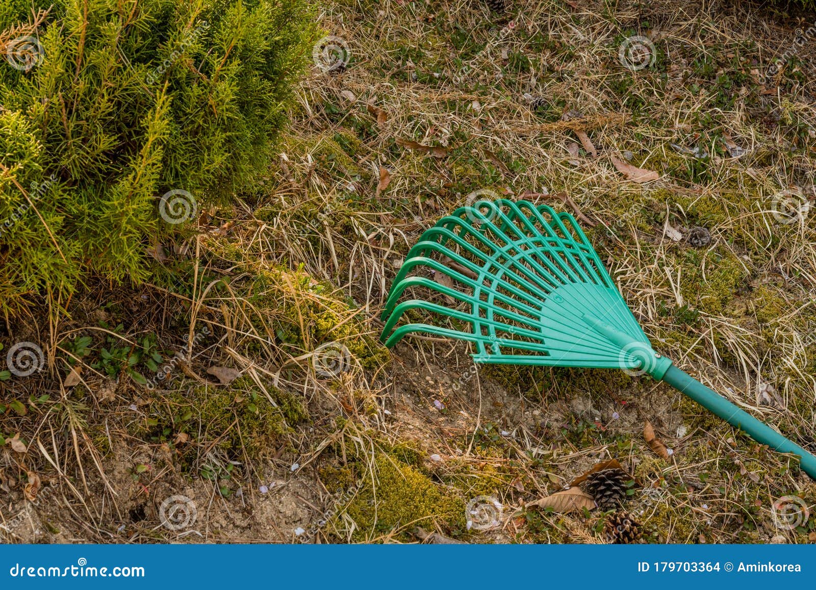 Green rake on hillside stock photo. Image of bush, hillside - 179703364