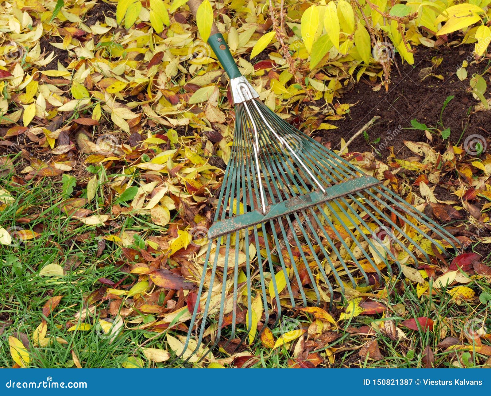 Green rake stock image. Image of plastic, color, leaves - 150821387