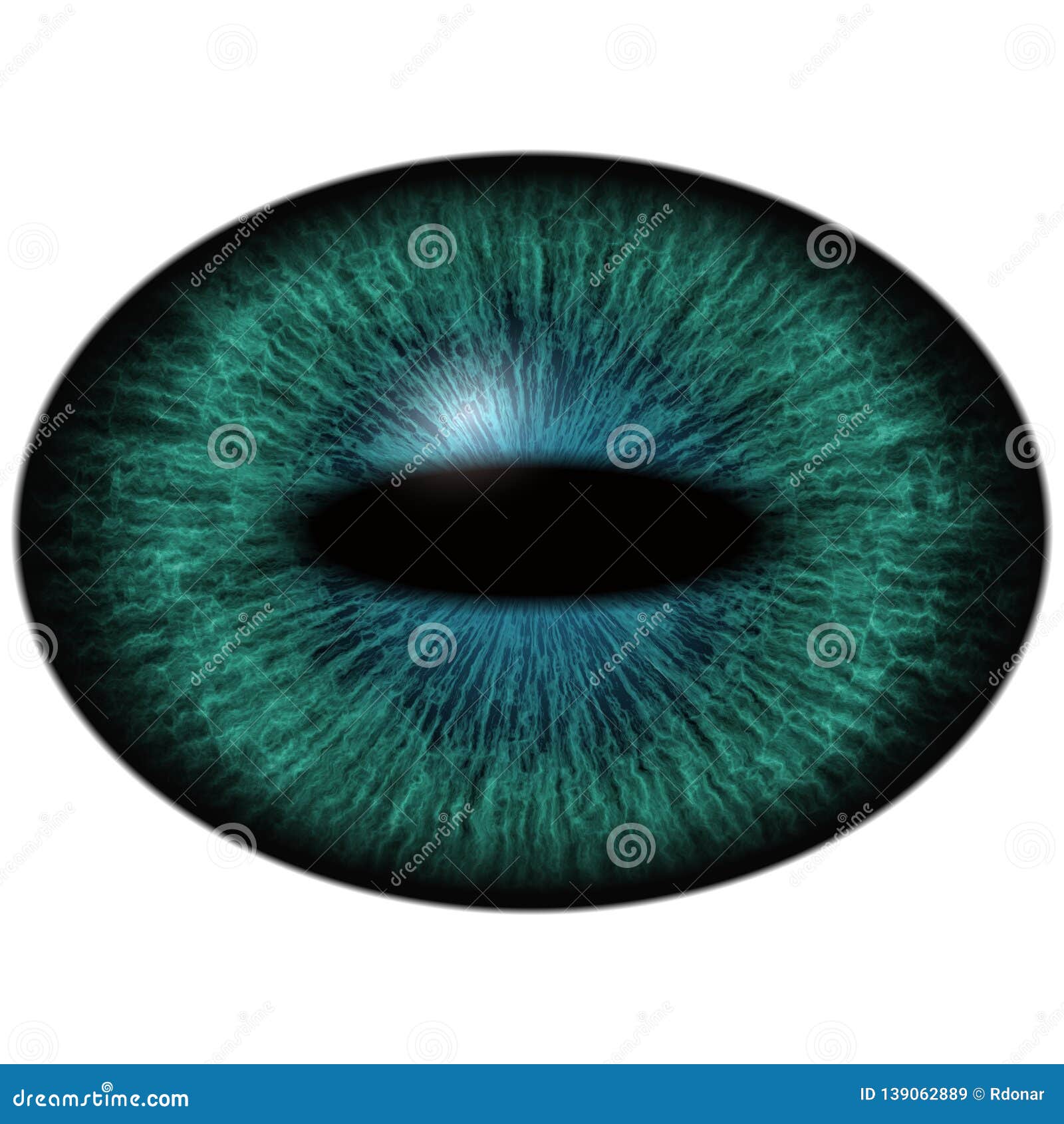 Green Raptor Eye with Large Pupil on White Stock Illustration ...