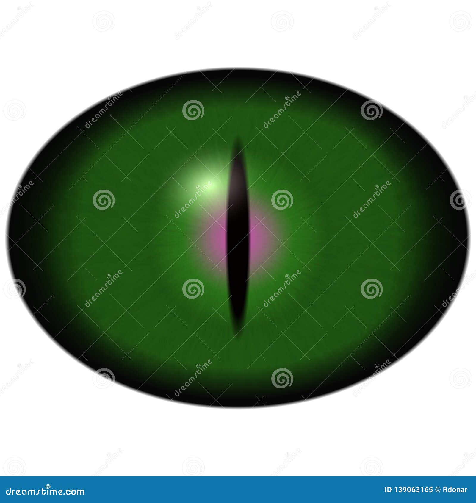 Green Raptor Eye with Large Pupil on White Stock Illustration ...