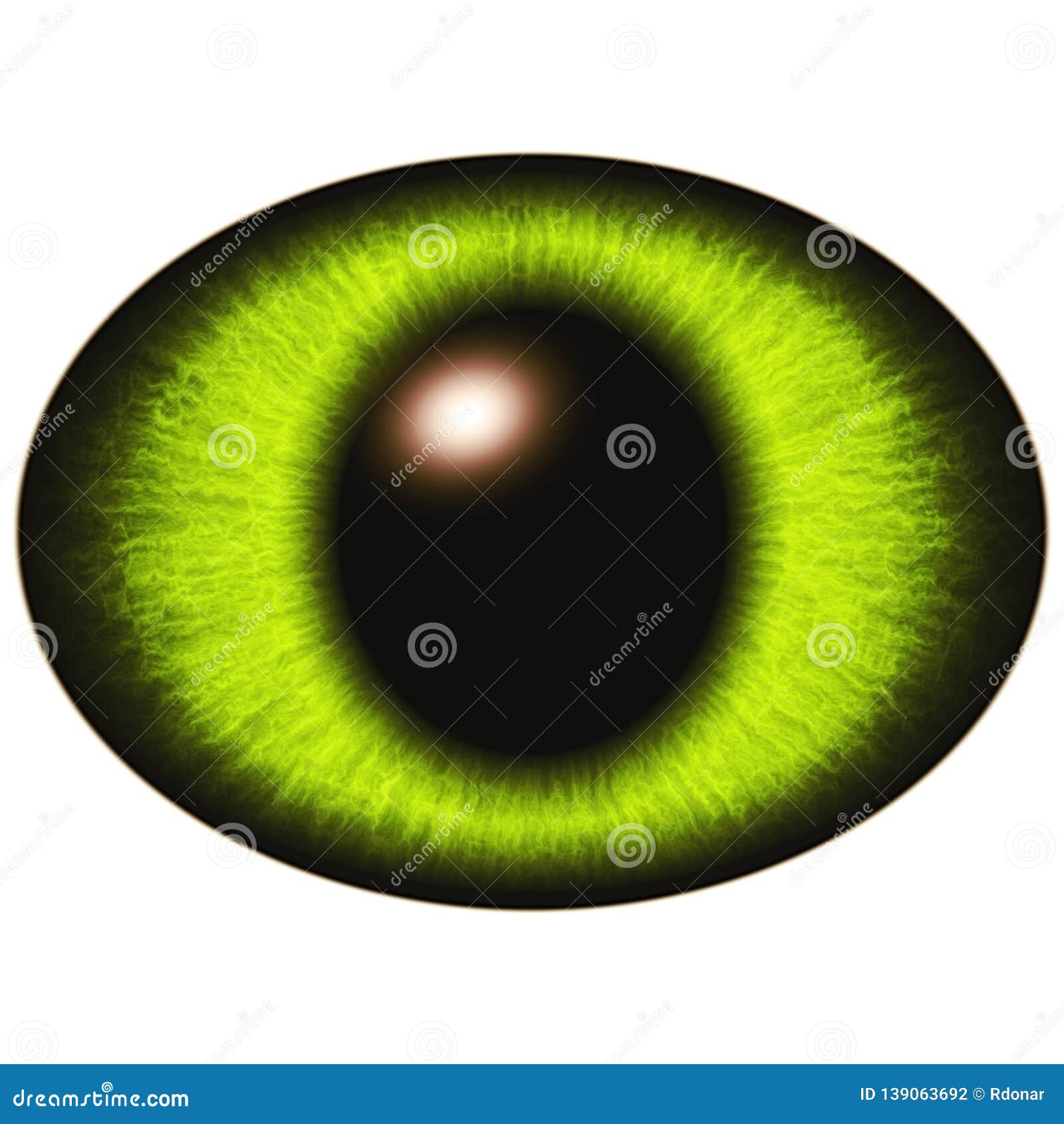 Green Raptor Eye with Large Pupil on White Stock Illustration ...