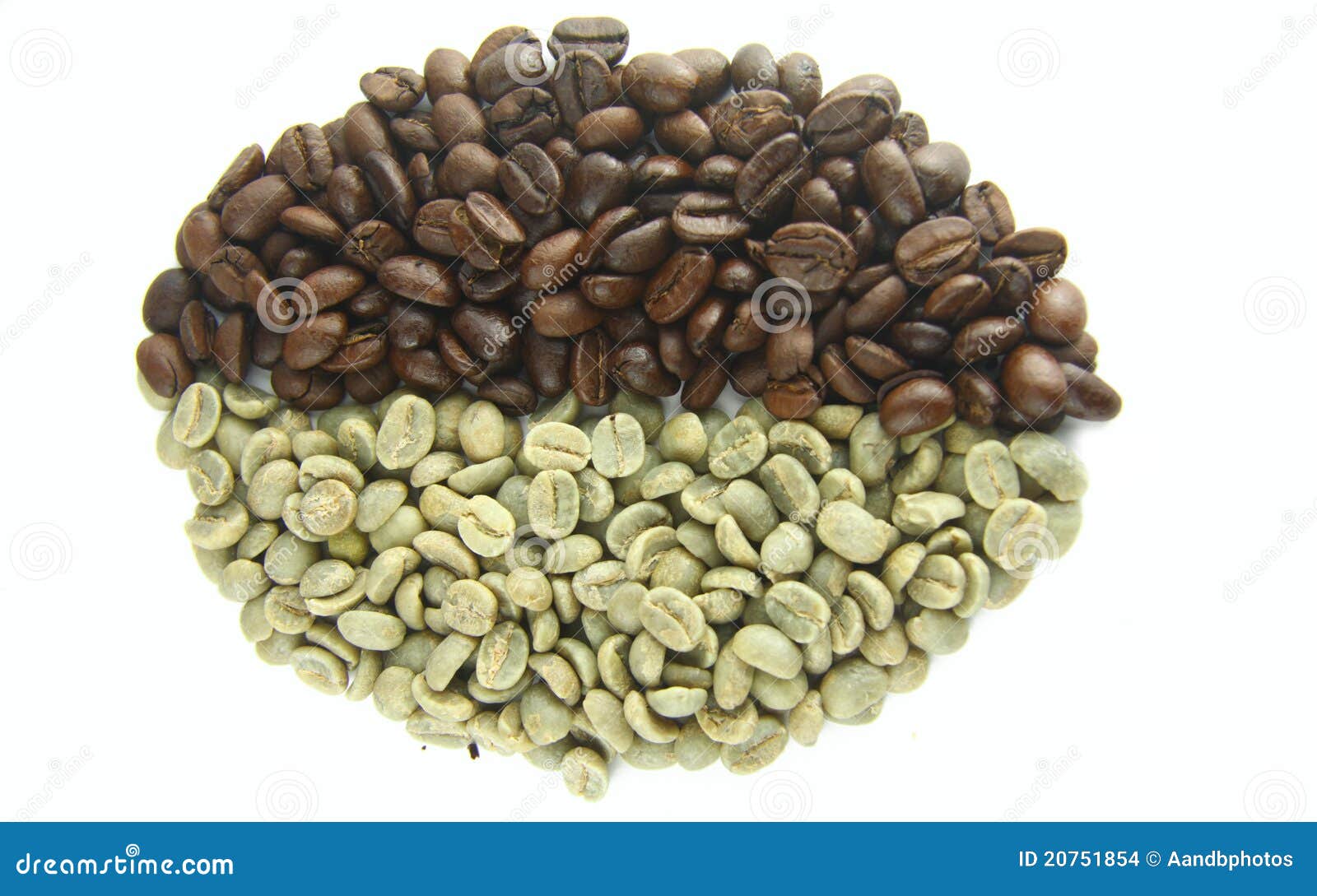 Green (Raw) and Roasted Coffee Beans Stock Photo - Image of drink ... Green (Raw) and Roasted Coffee Beans Stock Photo - Image of drink ...