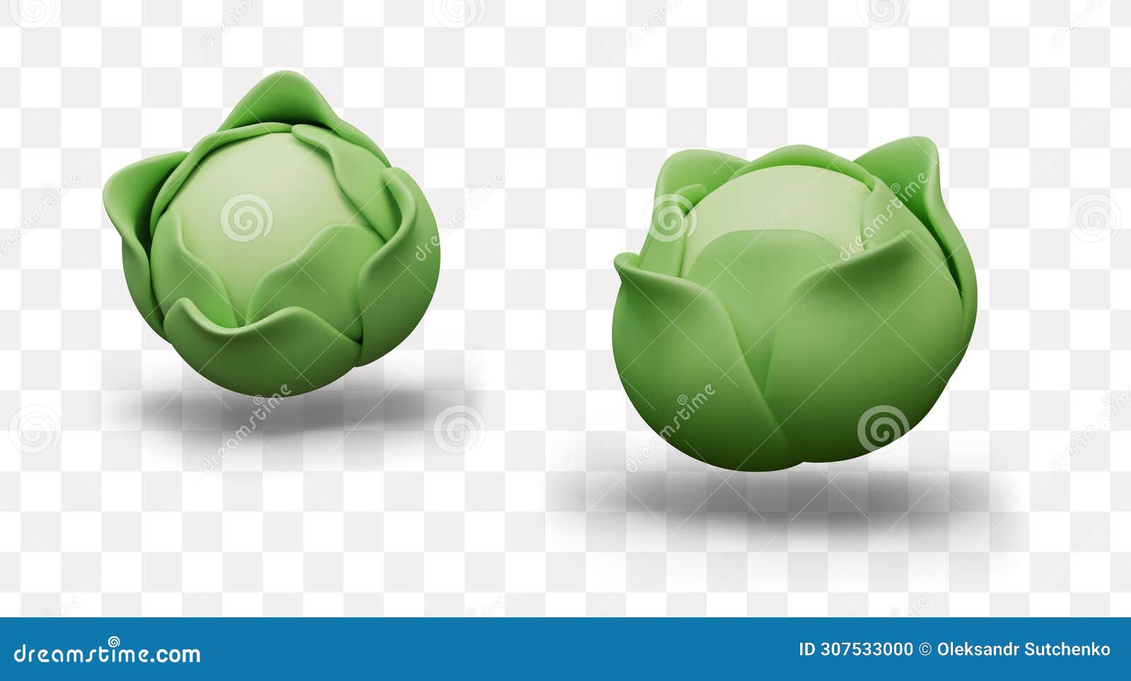 Green Realistic Cabbage in Different Positions. Fresh Vegetables, Farm ...