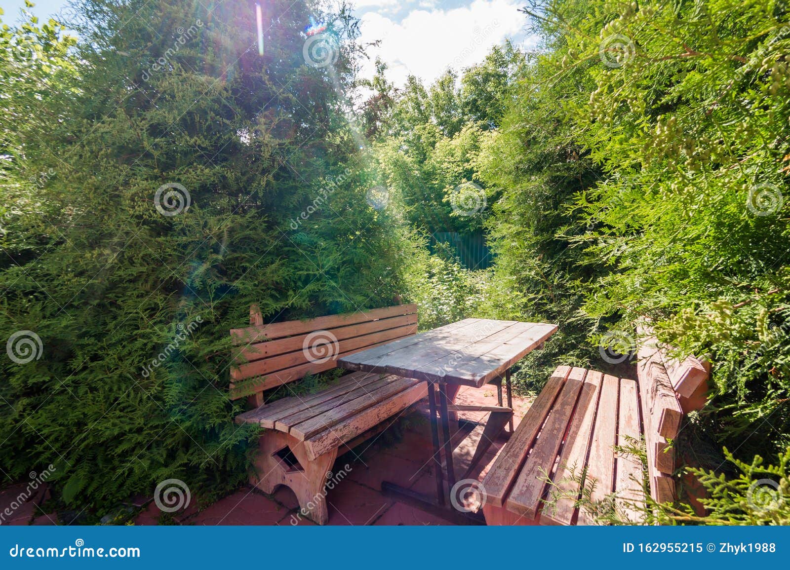 Green Recreation Area in the Courtyard of a Private House, Trees and ...