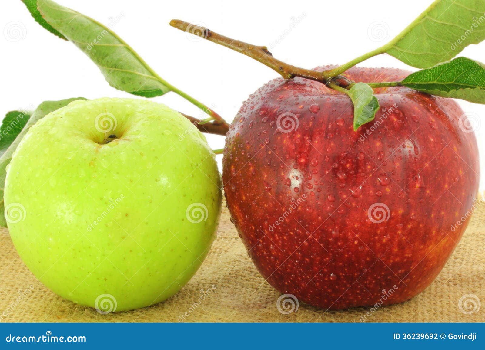 Green and red apple fruit stock photo. Image of health - 36239692