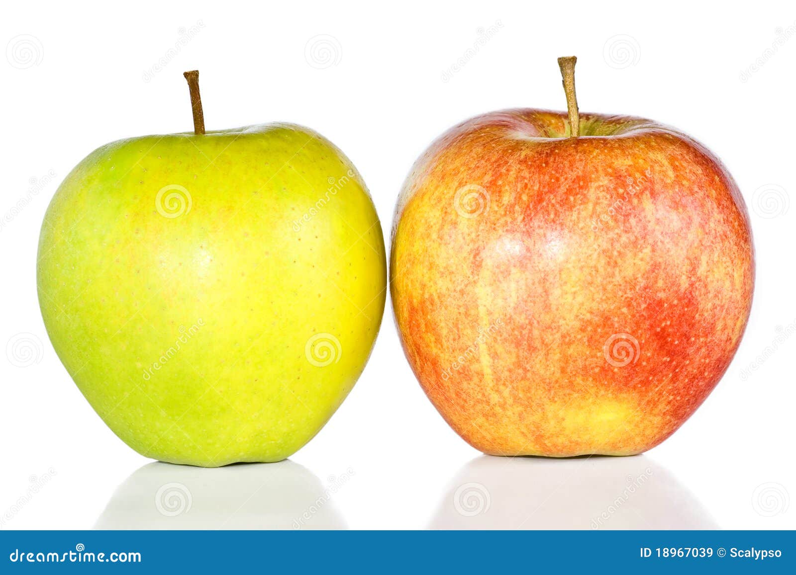 Green and red apples stock image. Image of healthy, adam - 18967039