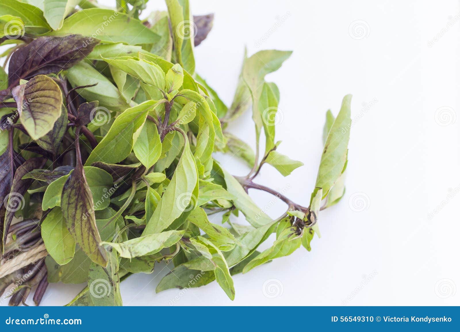 Green and Red Basil Leaves on a White Stock Photo - Image of aromatic ...