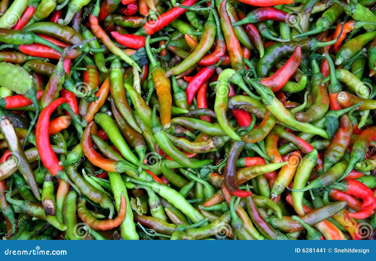 Green and Red Chillies stock image. Image of indian, asia - 6281441