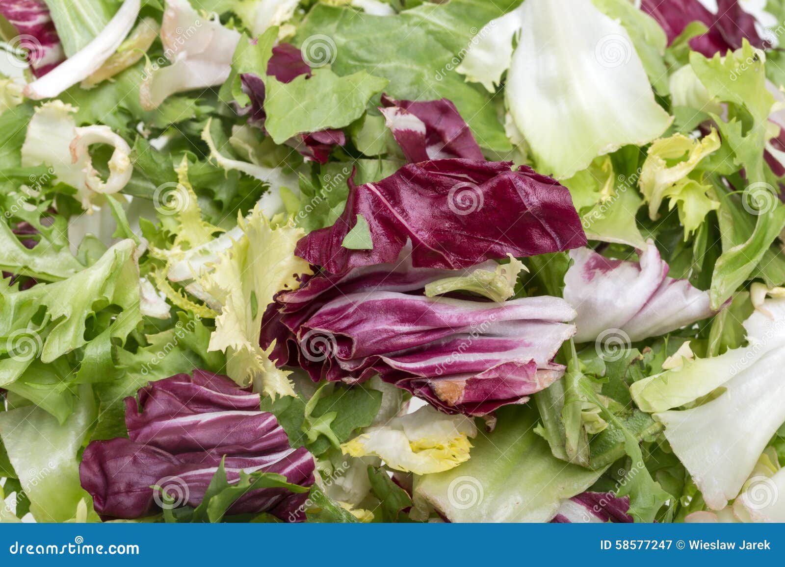 Green and Red Leaf of Lettuce Stock Image - Image of food, freshness ...