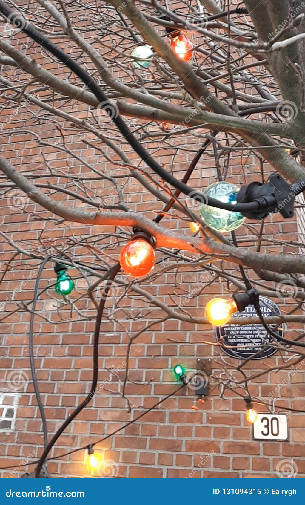 Green red Light stock image. Image of tree, wall, outside - 131094315