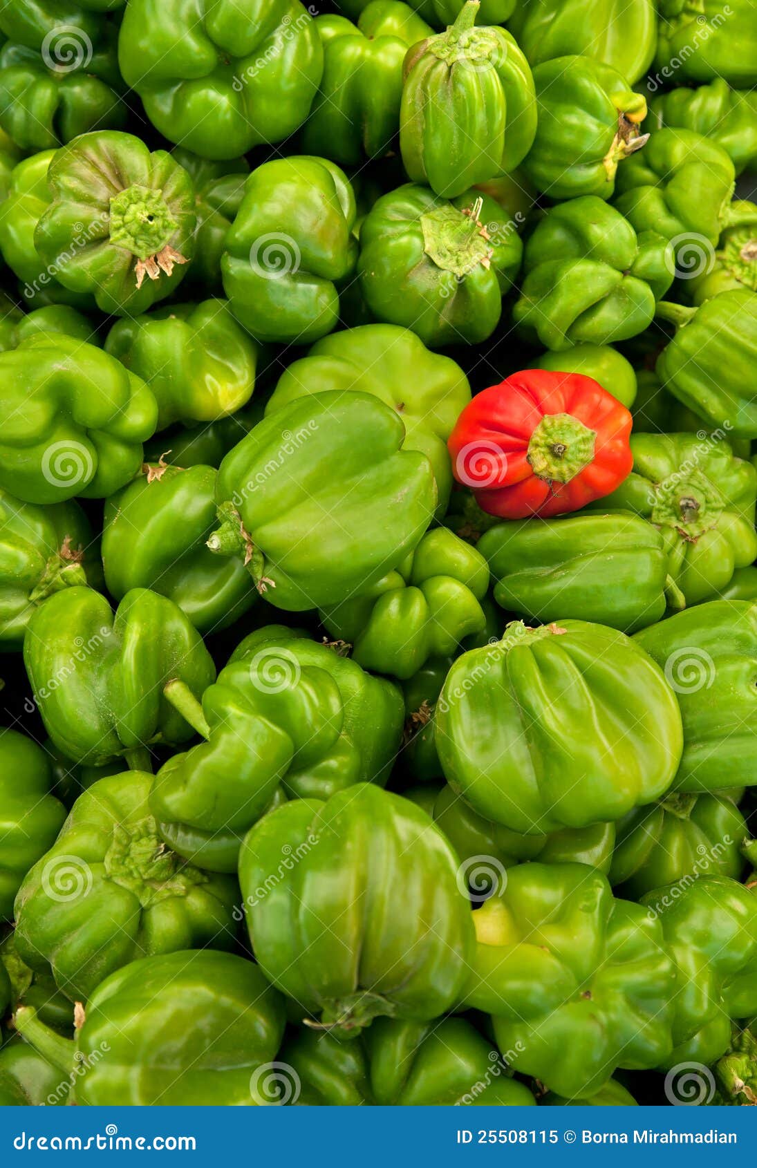 Green and Red Organic Paprika Pepper Stock Image - Image of healthy ...