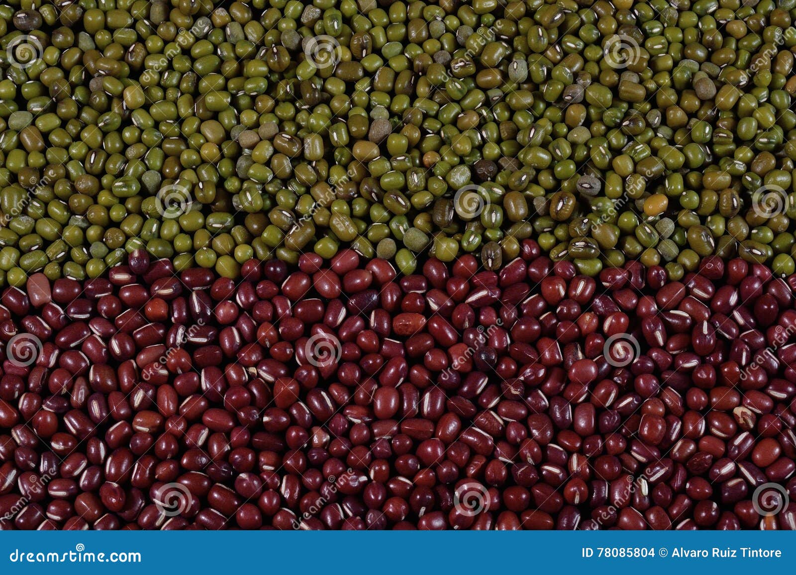 Green and red soy. stock photo. Image of fiber, carbohydrates - 78085804