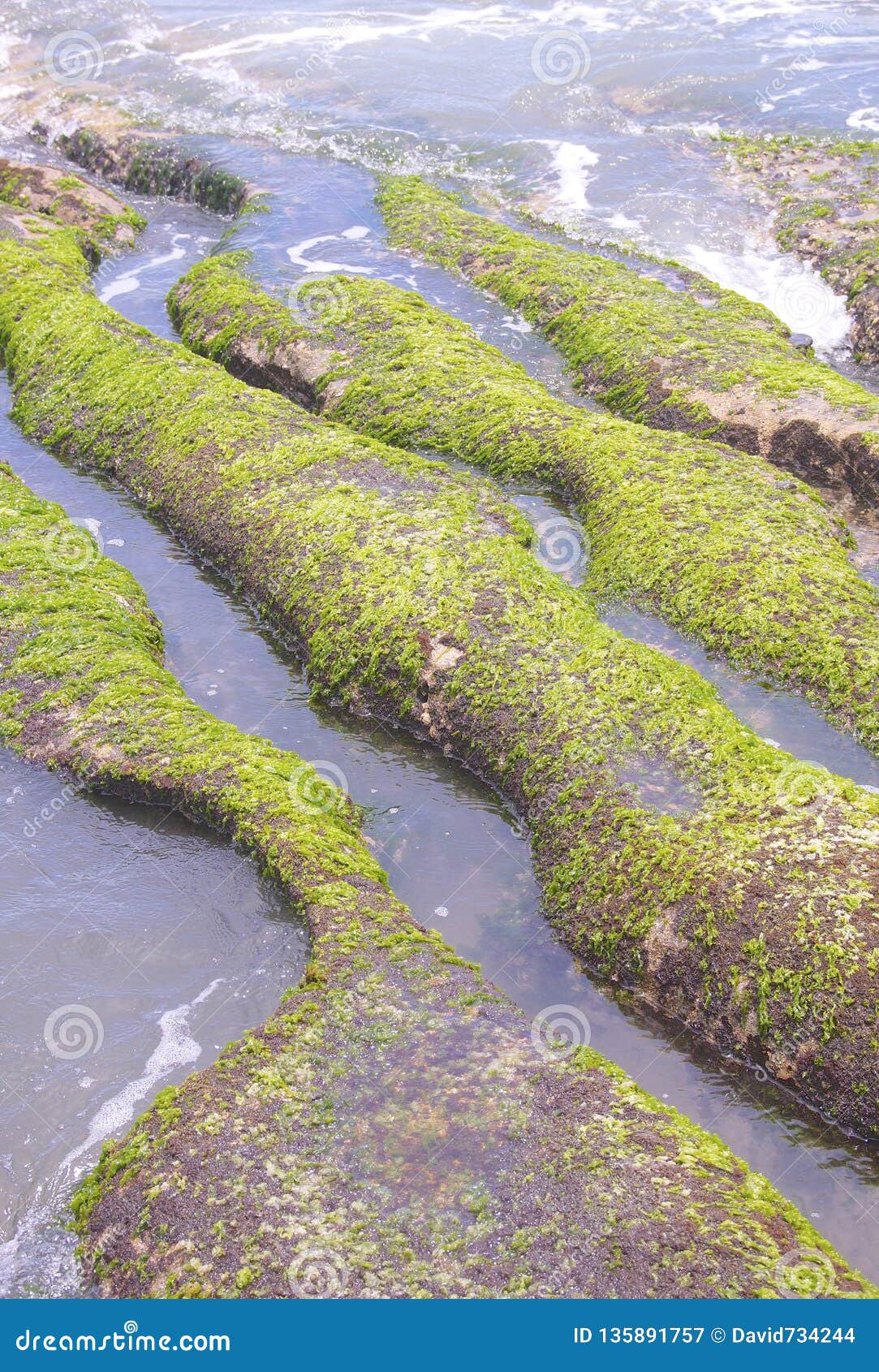 Green Reef at Laomei in Taiwan Stock Image - Image of scenery, city ...
