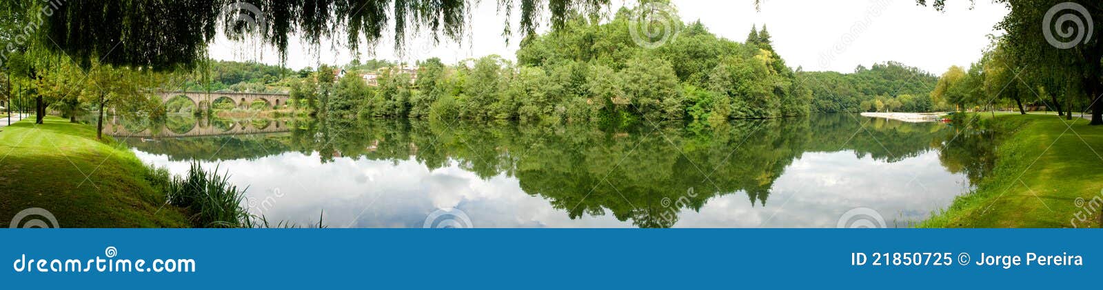 Green reflection stock image. Image of bushes, trees - 21850725