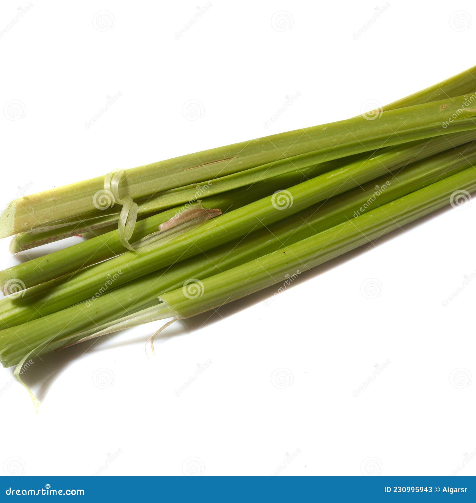 Green Rhubarb stalks stock image. Image of pile, healthy - 230995943