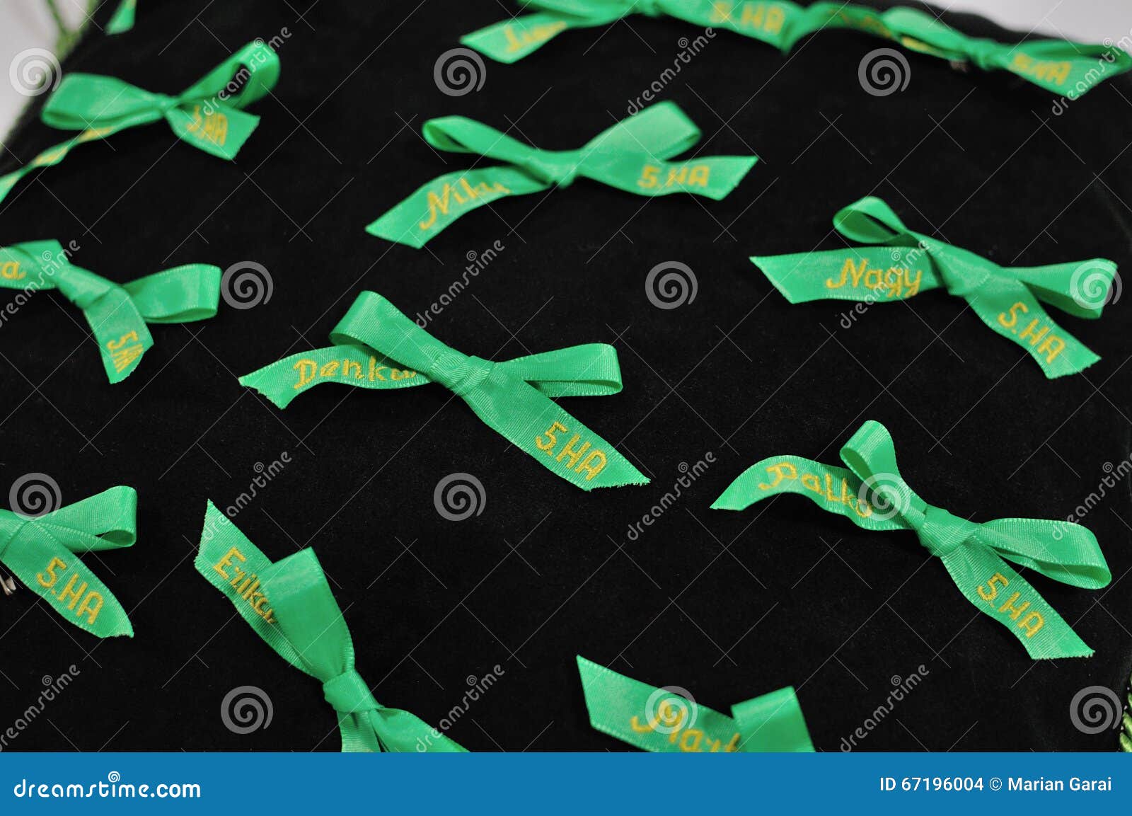 Green Ribbons for Graduates Stock Photo - Image of ribbon, grenn: 67196004