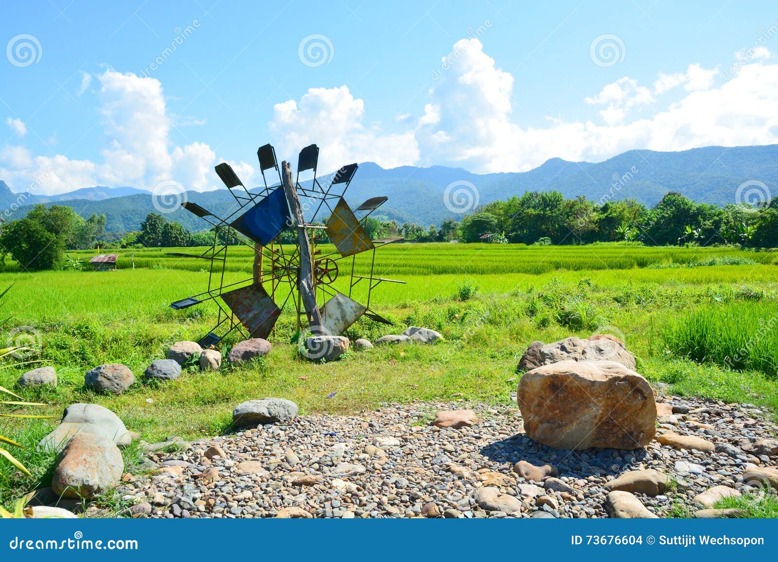 Green Rice Field with Thai Windmill Stock Photo - Image of asian ...
