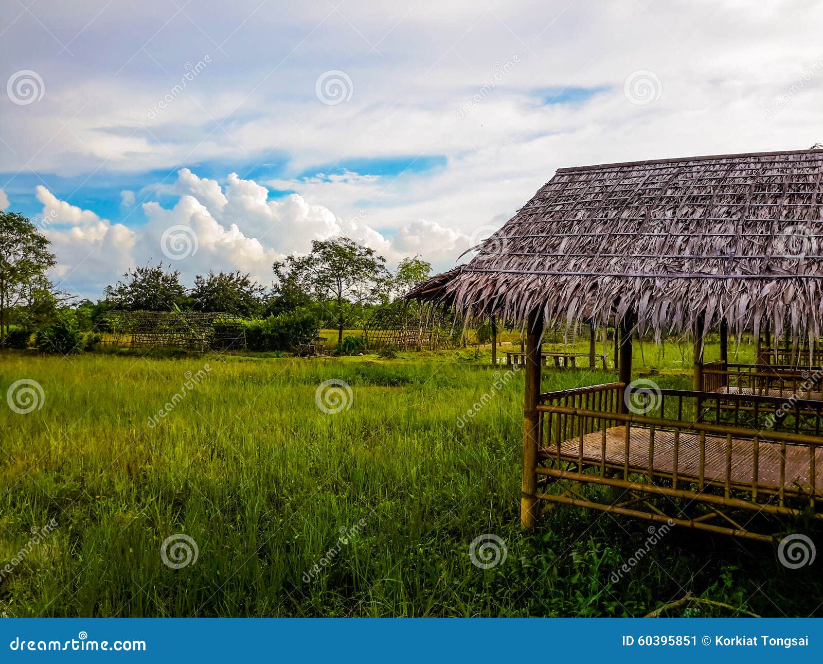 Green Rice Paddy Field and Bamboo Hut Stock Image - Image of ...